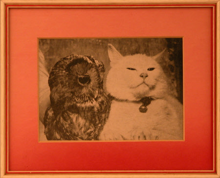 Photograph 792090 | National Trust Collections