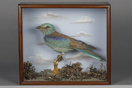 Untitled 287427 | National Trust Collections