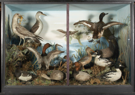 Untitled 287710 | National Trust Collections