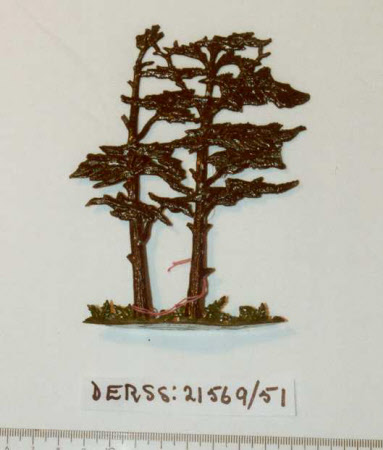 Tree 660093 | National Trust Collections