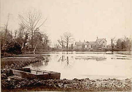 “Shirley Pond” 96098 | National Trust Collections
