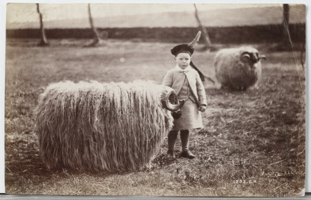 Untitled 638107 | National Trust Collections