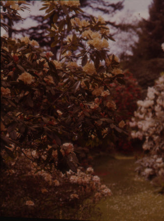 Corsock House 1111972 | National Trust Collections