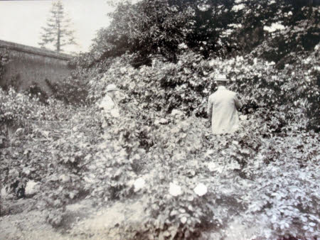 A view at Barningham of two men in a walled garden. 801299 | National ...
