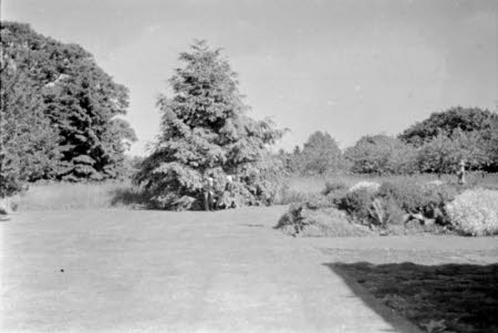 Passfield Corner and Sidmouth 1715529 | National Trust Collections