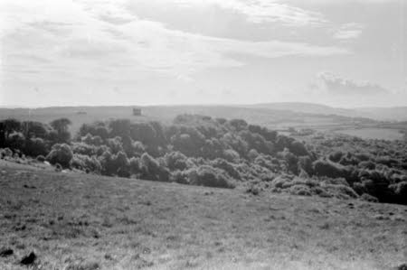 Passfield Corner and Sidmouth 1715529 | National Trust Collections