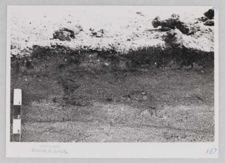 Photograph 1940311.23.2 | National Trust Collections