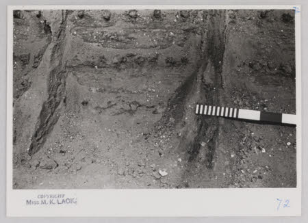 Photograph 1940311.8.11 | National Trust Collections