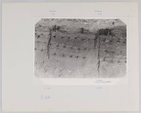 Untitled 1940314.2.46 | National Trust Collections