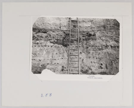 Untitled 1940314.2.81 | National Trust Collections