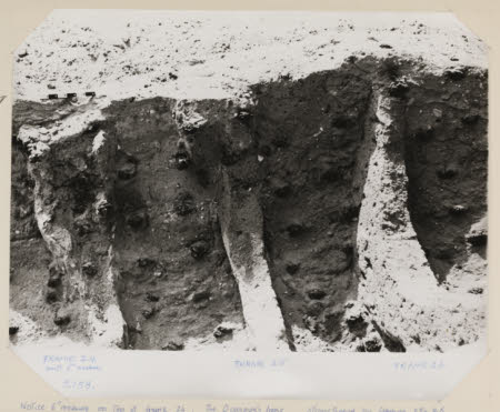 Untitled 1940351.2.31.2 | National Trust Collections
